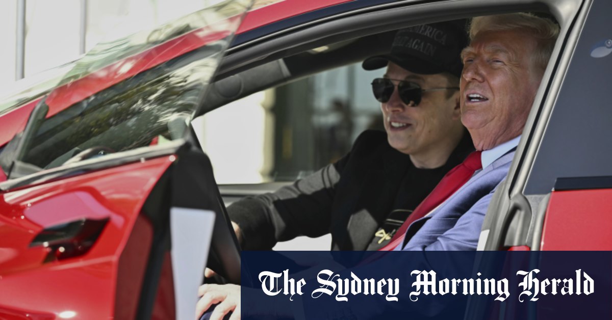 Trump buys Tesla to support Elon Musk