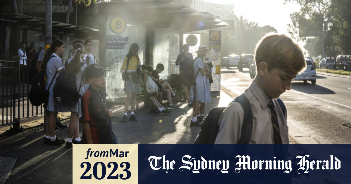 Sydney bus chaos: the driver shortage causing delays and cancellations