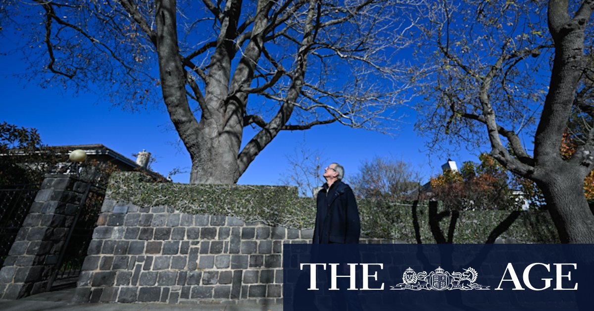 Mopsi.licious onlyfans leaks somewhat chubbier than the