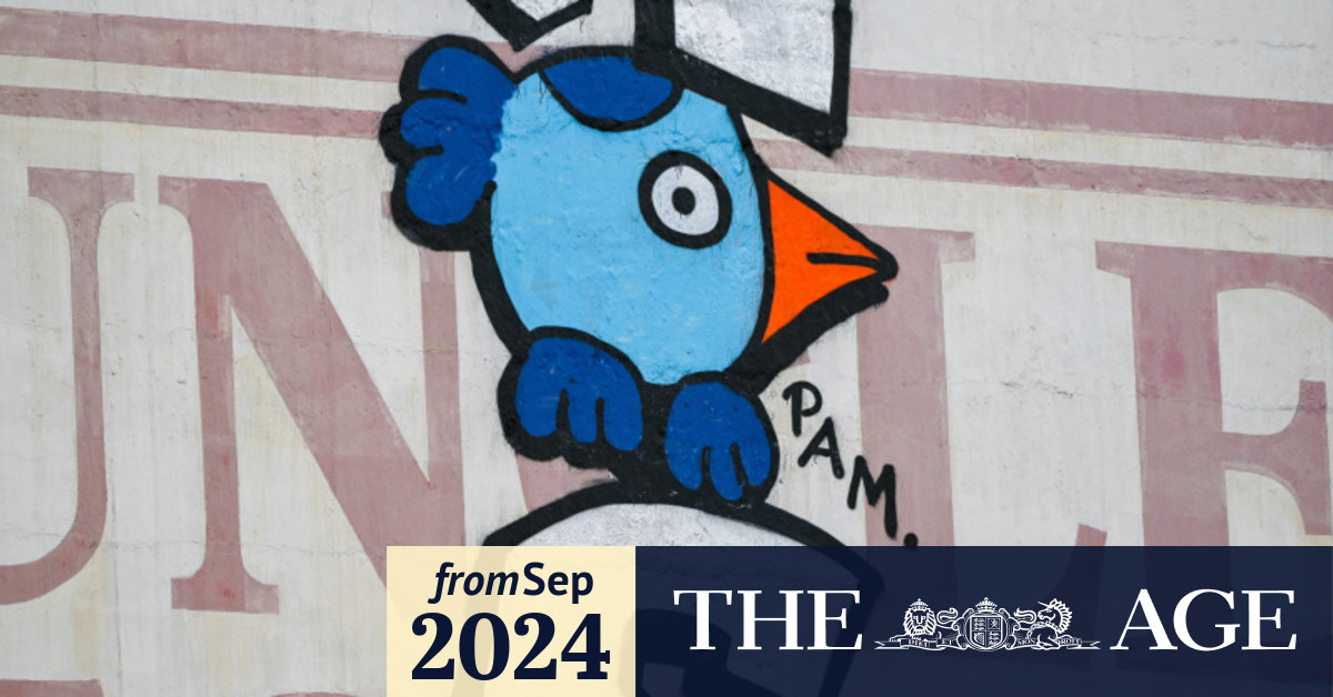 What’s the story behind Melbourne’s Pam the bird graffiti tags?