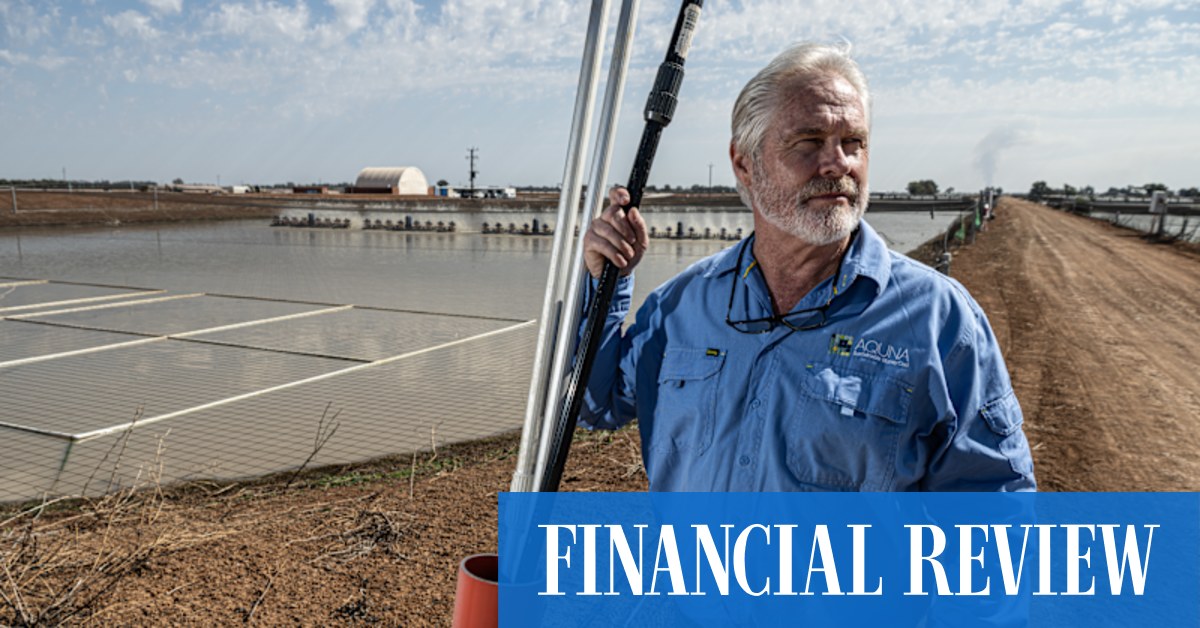 MCA ASX: Can the Murray cod hook Australia an aquaculture giant?