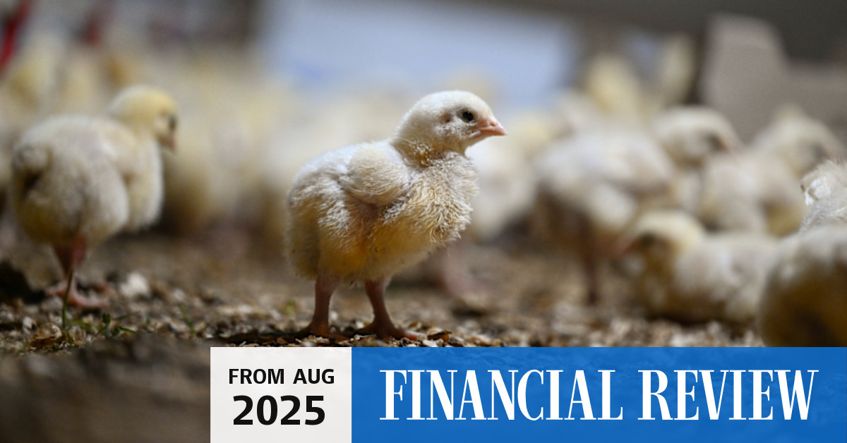 PEP’s poultry biz Agright to seek capital partner; taps Stanton