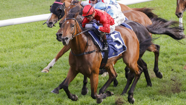 Gold Coast butcher Zaid Miller won more than $70,000 in all-up bet from ...