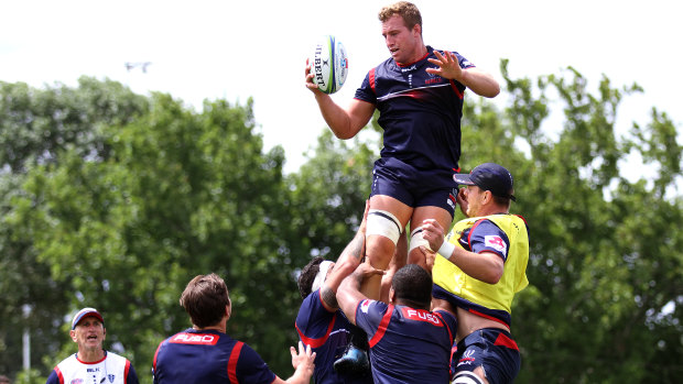 Cottrell goes all-in for Super Rugby comeback with Melbourne Rebels