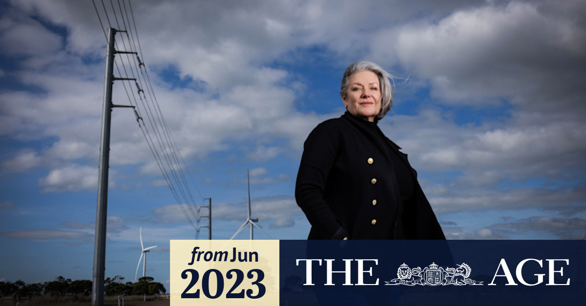 Push to underground ‘aerial spaghetti’ power lines in Moyne Shire