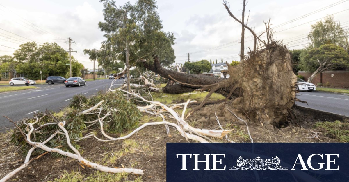 Victoria power outage: Farmer killed, hundreds of thousands without ...