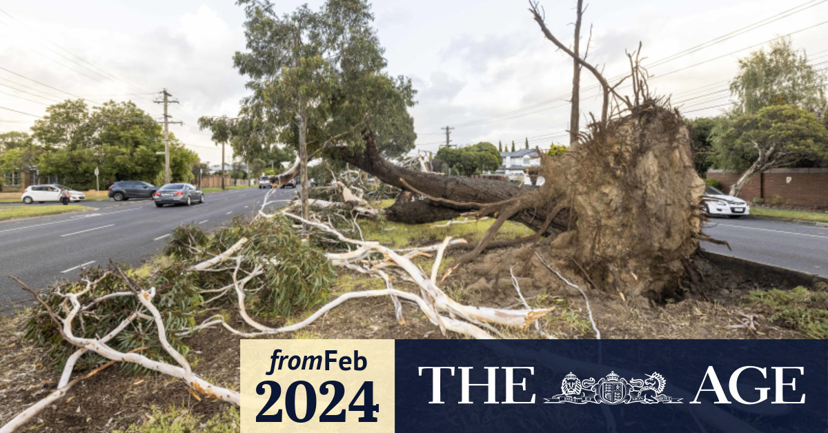 Victoria power outage: Farmer killed, hundreds of thousands without ...