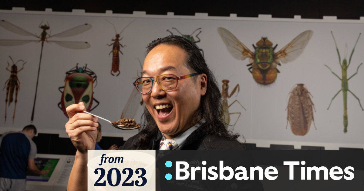 Avocado and ants on toast? Chef says buzz is building around edible insects