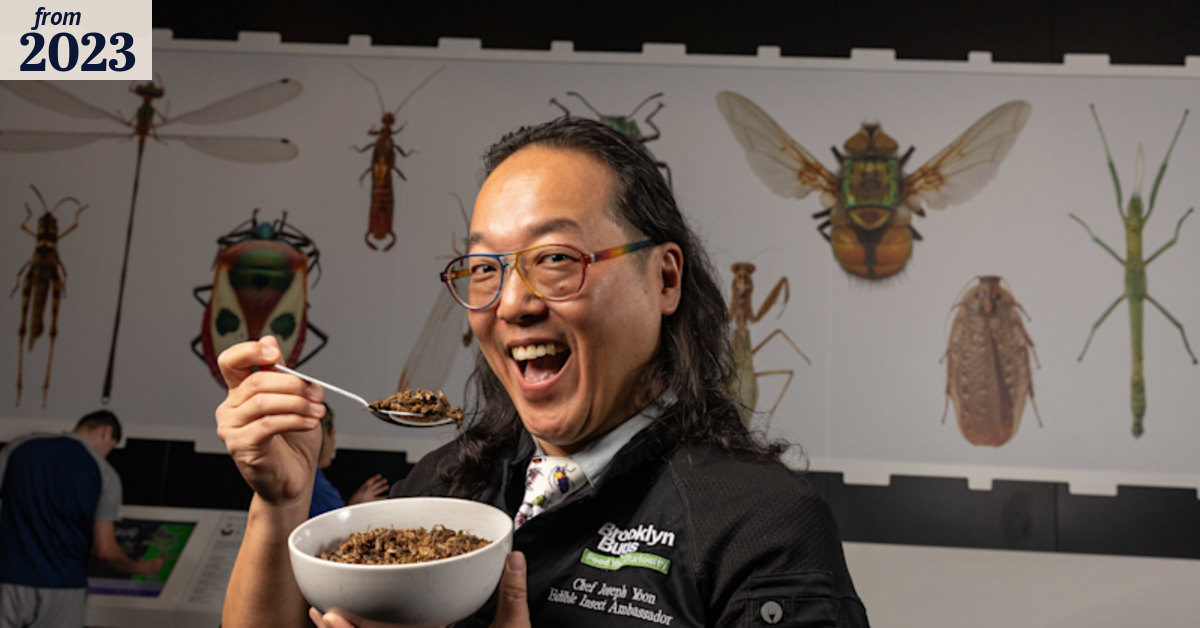 Avocado and ants on toast? Chef says buzz is building around edible insects
