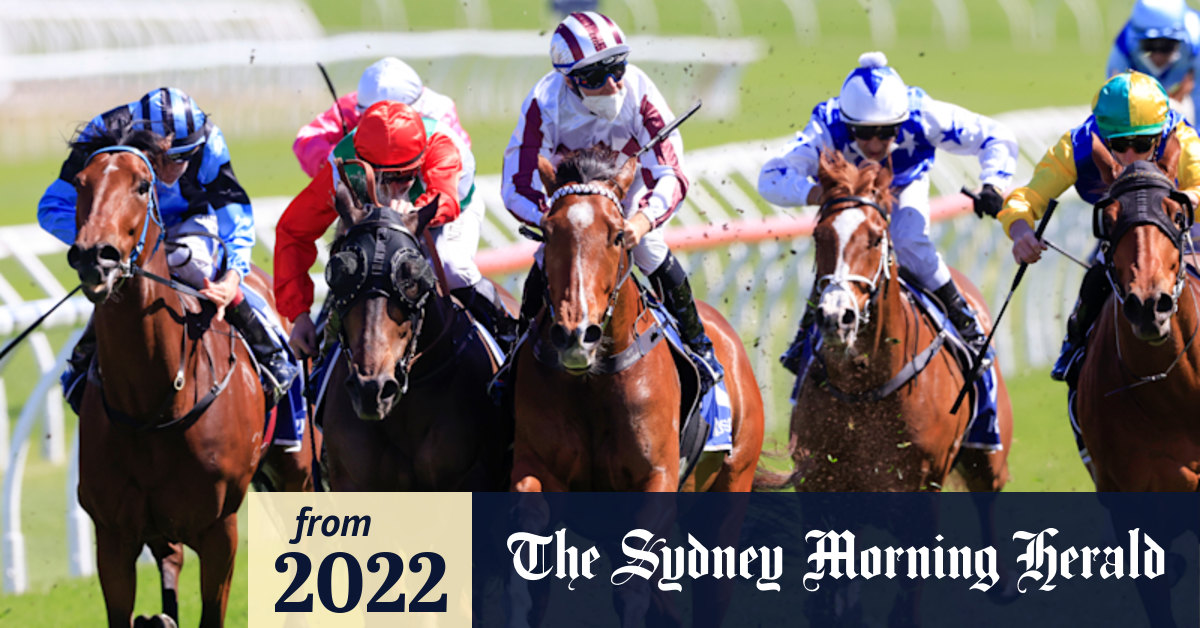 Scone races Friday tips and full preview for Cup meeting