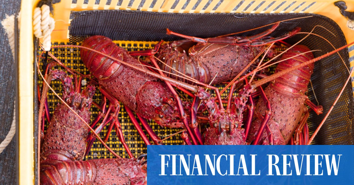 WA lobster worth more than $150m slips through China trade ban