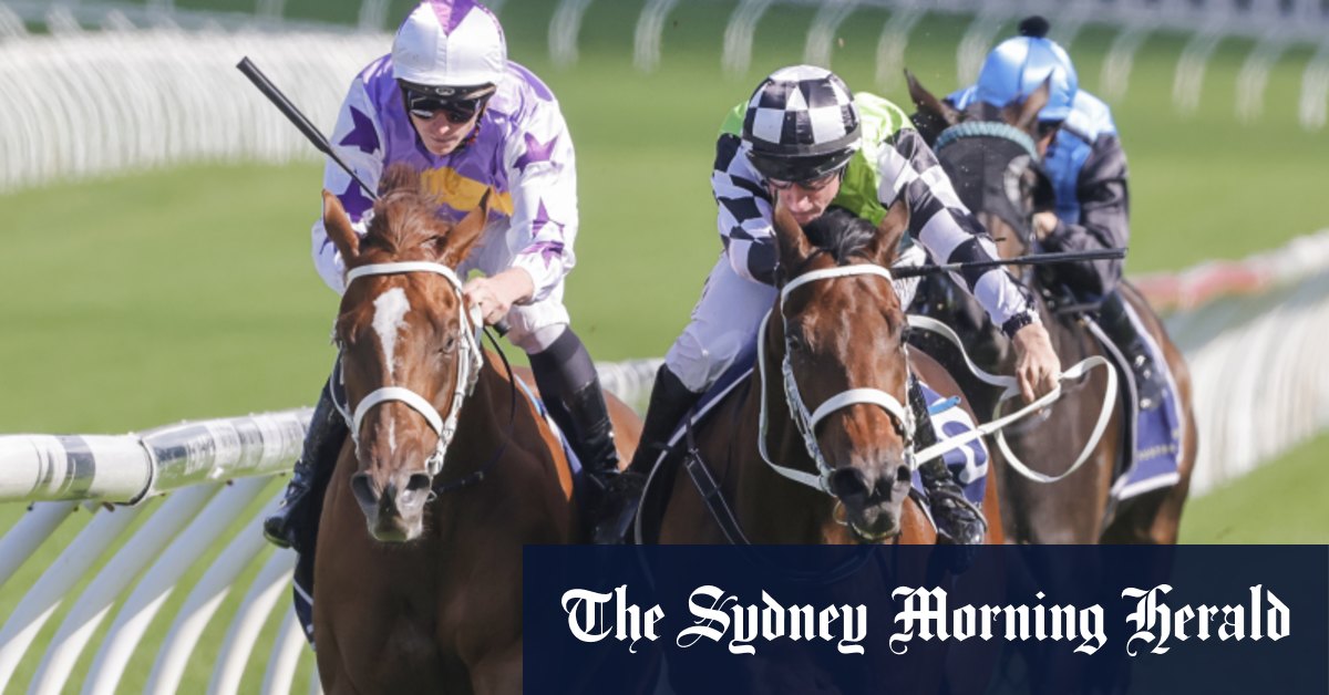 Wagga races Friday tips and full preview for Gold Cup meeting