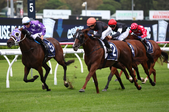 Racing 2024: Fangirl takes off in Apollo Stakes at Randwick with nod to ...