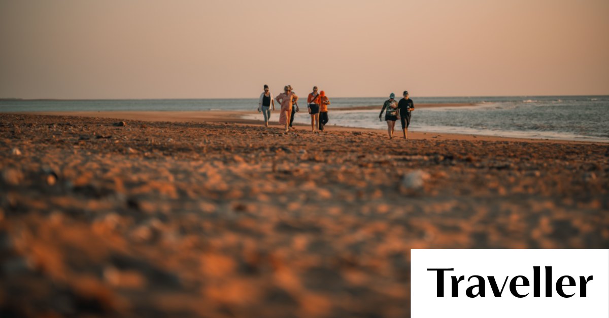 Where to see turtles laying eggs near Darwin: Bare Sand island tour