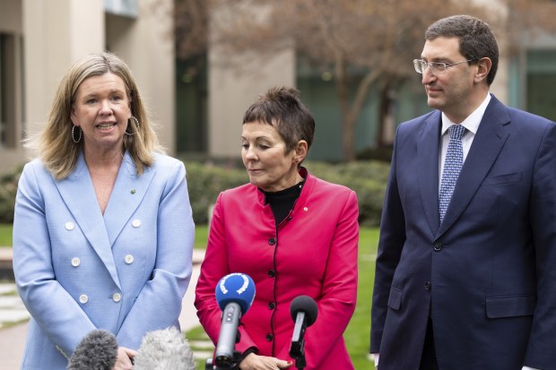Voice to parliament: Liberals for Yes leader says voters did not trust ...