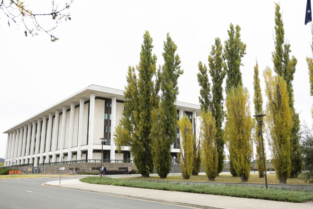 Tanya Plibersek and 38 unloved trees
