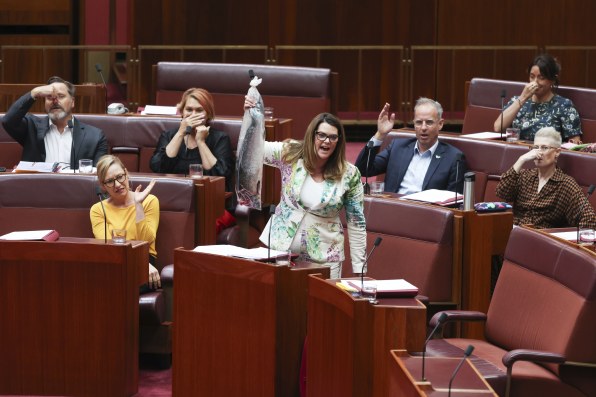 Australia news from Wednesday 26th March 2025: Hanson-Young holds up ...