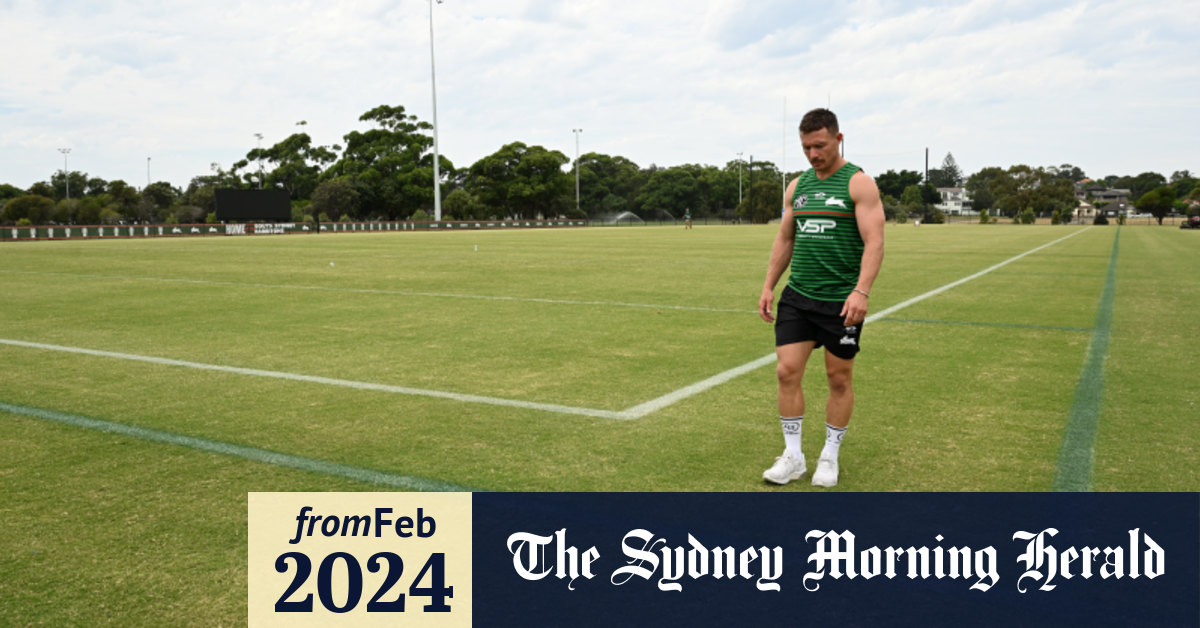 NRL 2024: South Sydney Rabbitohs practice on smaller field to prepare ...