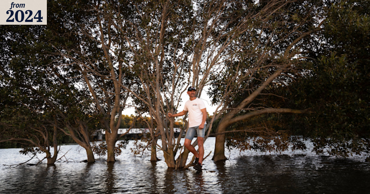 This iconic Sydney island is sinking – but no one wants to help