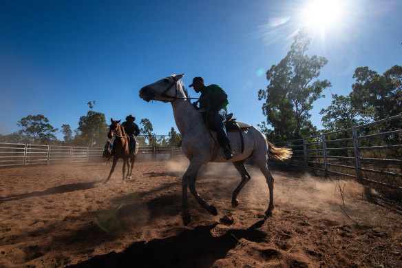 Tough-on-crime ‘myth’ won’t stop youth offending, say experts