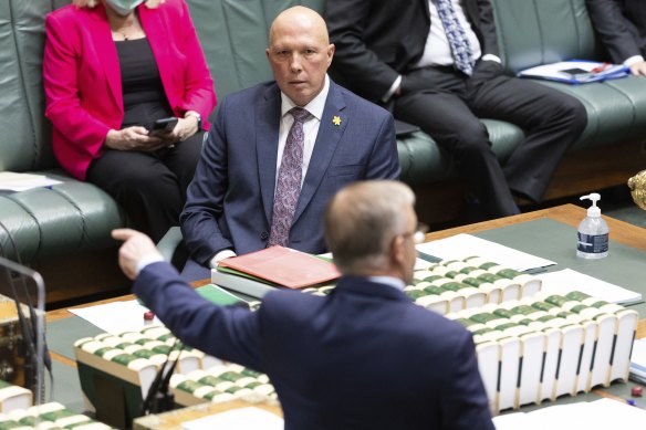 Peter Dutton may never be prime minister but he’s hardly put a foot wrong