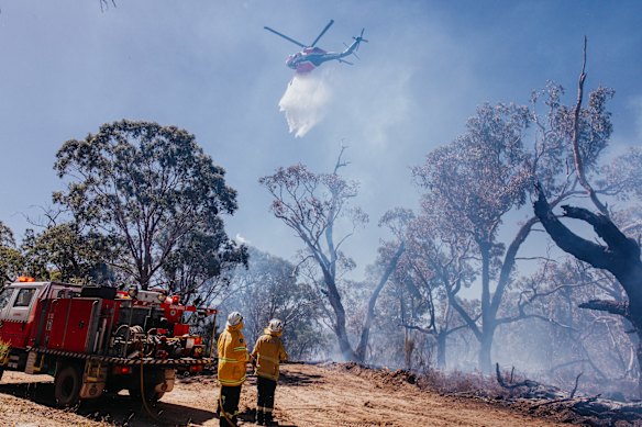 Sydney weather: Live updates on heatwave, severe weather warnings, fire ...