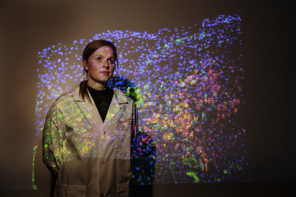 Scientists capture a beauty that is skin deep