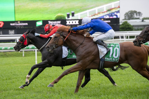 Winterbottom Stakes winner Paulele and James Cummings chase rare group ...