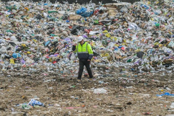 Melbourne local councils’ food and garden waste plan hits snag