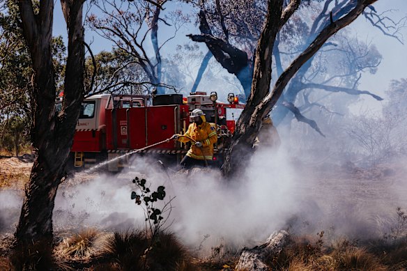 Sydney weather: Live updates on heatwave, severe weather warnings, fire ...