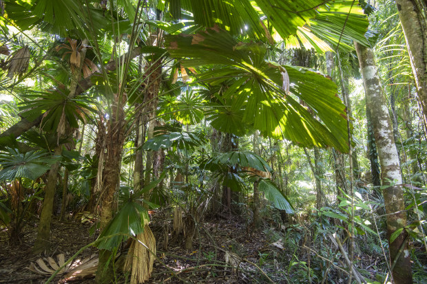 Renewable energy microgrid for the Daintree