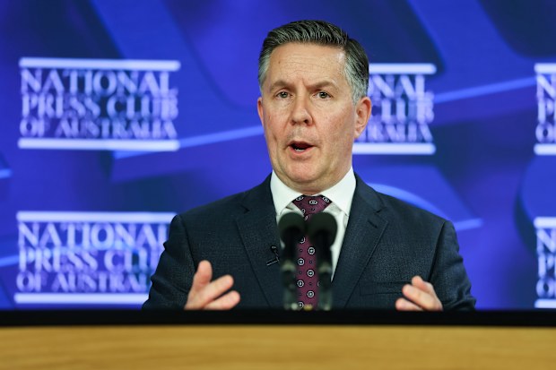 NDIS structural reform overhaul proposed by Labor Health Minister Mark ...