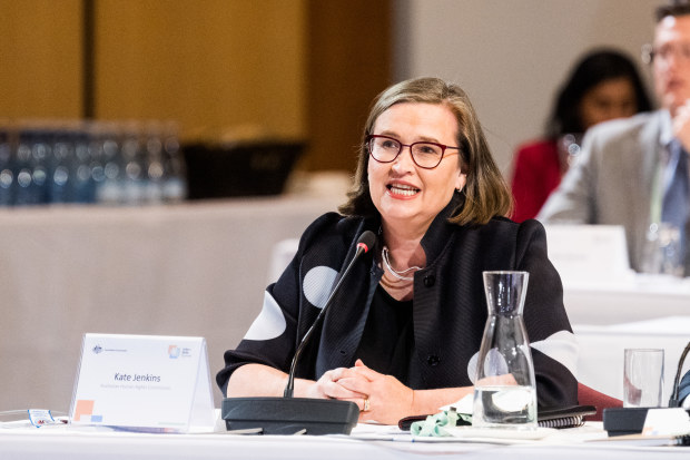 Sex Discrimination Commissioner Kate Jenkins says alcohol is a big risk ...