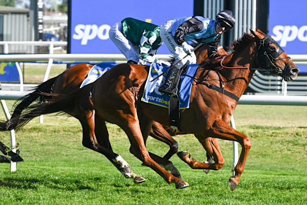 PunterGPT returns: Macquarie quants make Melbourne Cup picks