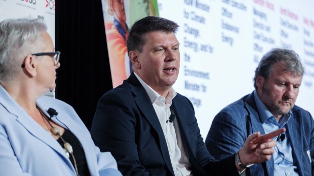 Urgent expansion of NSW transmission grid gaining momentum: Transgrid ...