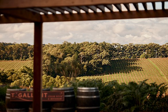 Social Club Balnarring, Quealy, Montalto, T'Gallant, Pt Leo Estate ...