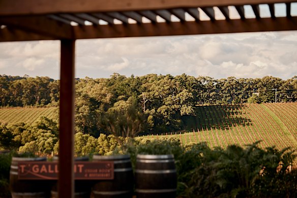 T’Gallant Vineyard, Main Ridge - The Age Good Food app listing