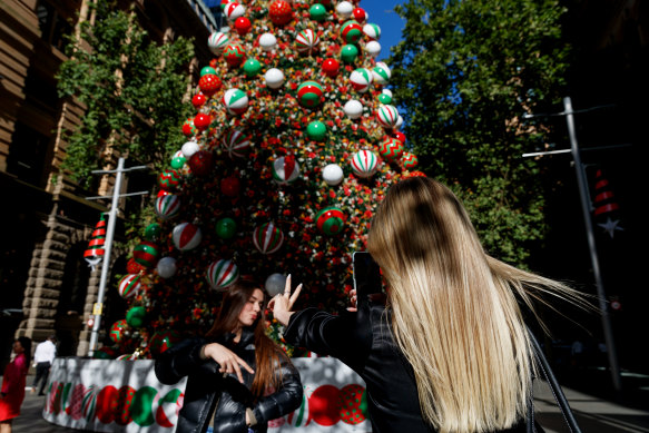 Martin Place Christmas tree goes up in lights