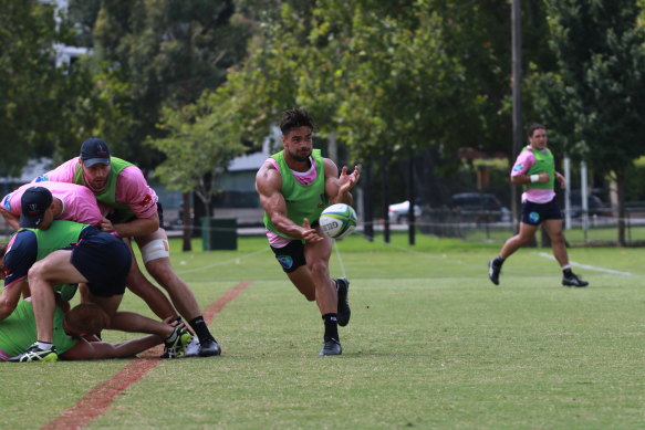 New half-back Ryan Louwrens hopes his poise, run will settle the ...