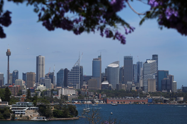 Former Deloitte consultant and founder of tween fashion label Chasing ...