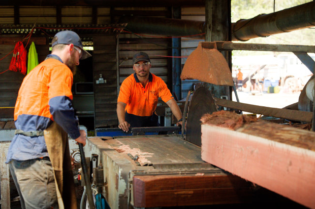 WA native logging ban: Forestry industry remains in the dark on day one