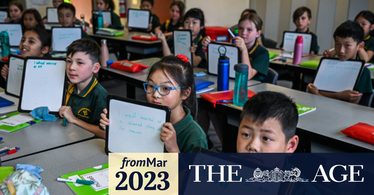 NAPLAN 2023 tests to have new assessment categories for reading ...