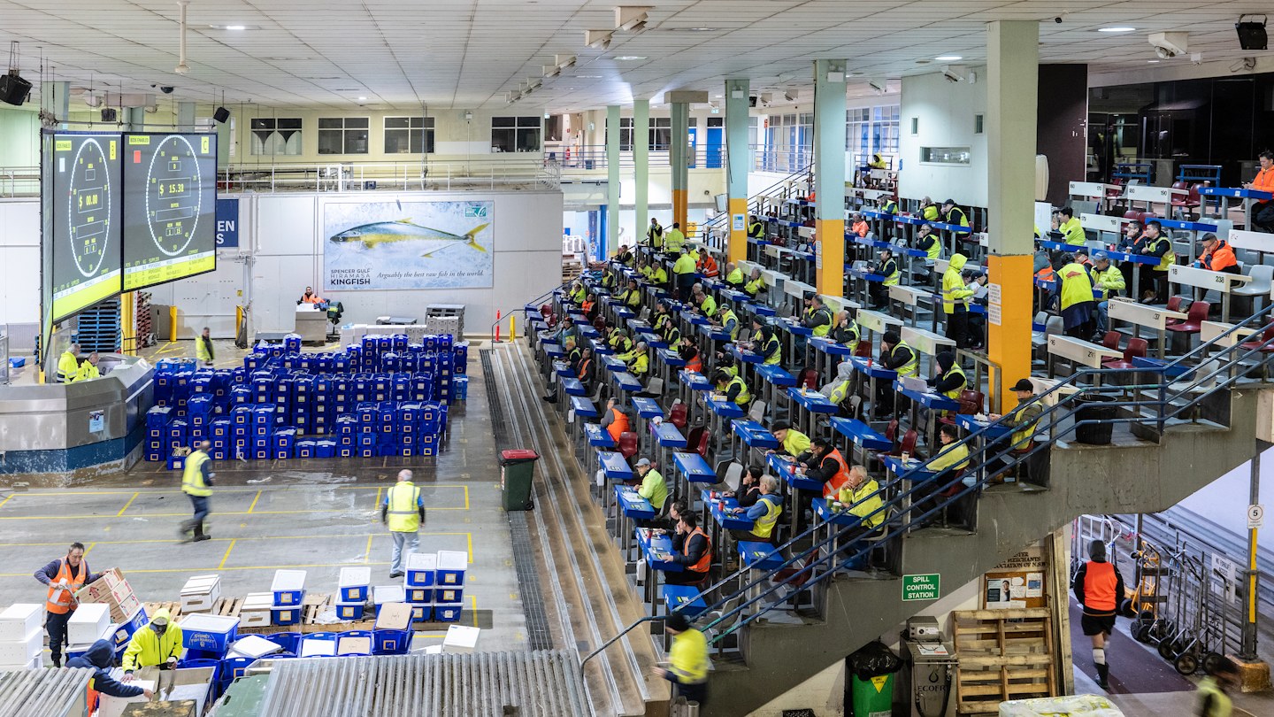 What’s behind the fishmonger rebellion over the new $750m Sydney Fish ...