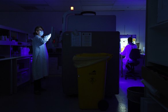 Coronavirus Australia: Inside a COVID-19 lab and why more people return ...