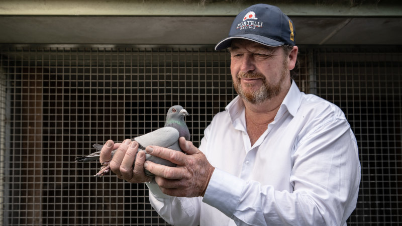 Trainer Gary Portelli aims for Golden Eagle victory with horse Encap ...