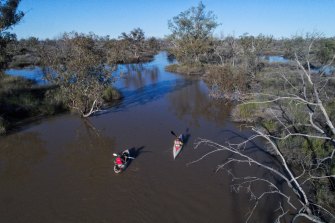 'Just magic': First big flows in seven years start key wetland revival