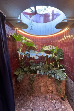 Sydney property: Small Surry Hills house holds winning landscape