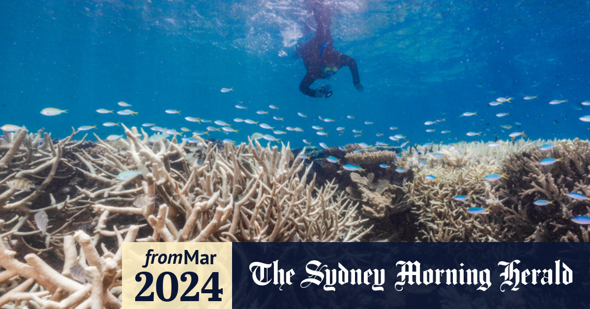 Climate change: Mass coral bleaching on Great Barrier Reef sparks fear ...