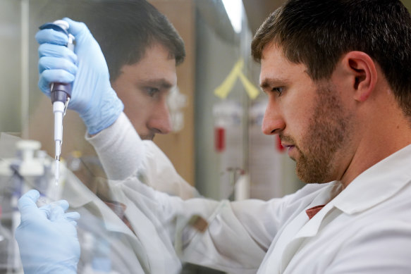 Cancer vaccines: scientists are responding strong gains from some ...