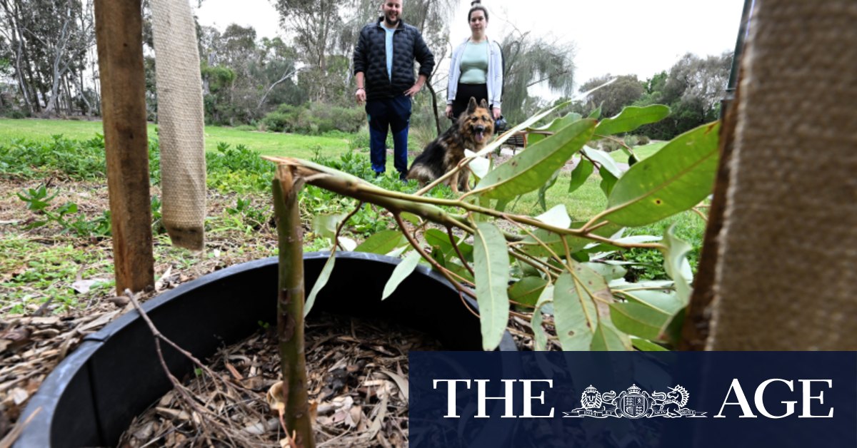Almost 200 young trees destroyed across eight parks in Melbourne’s ...
